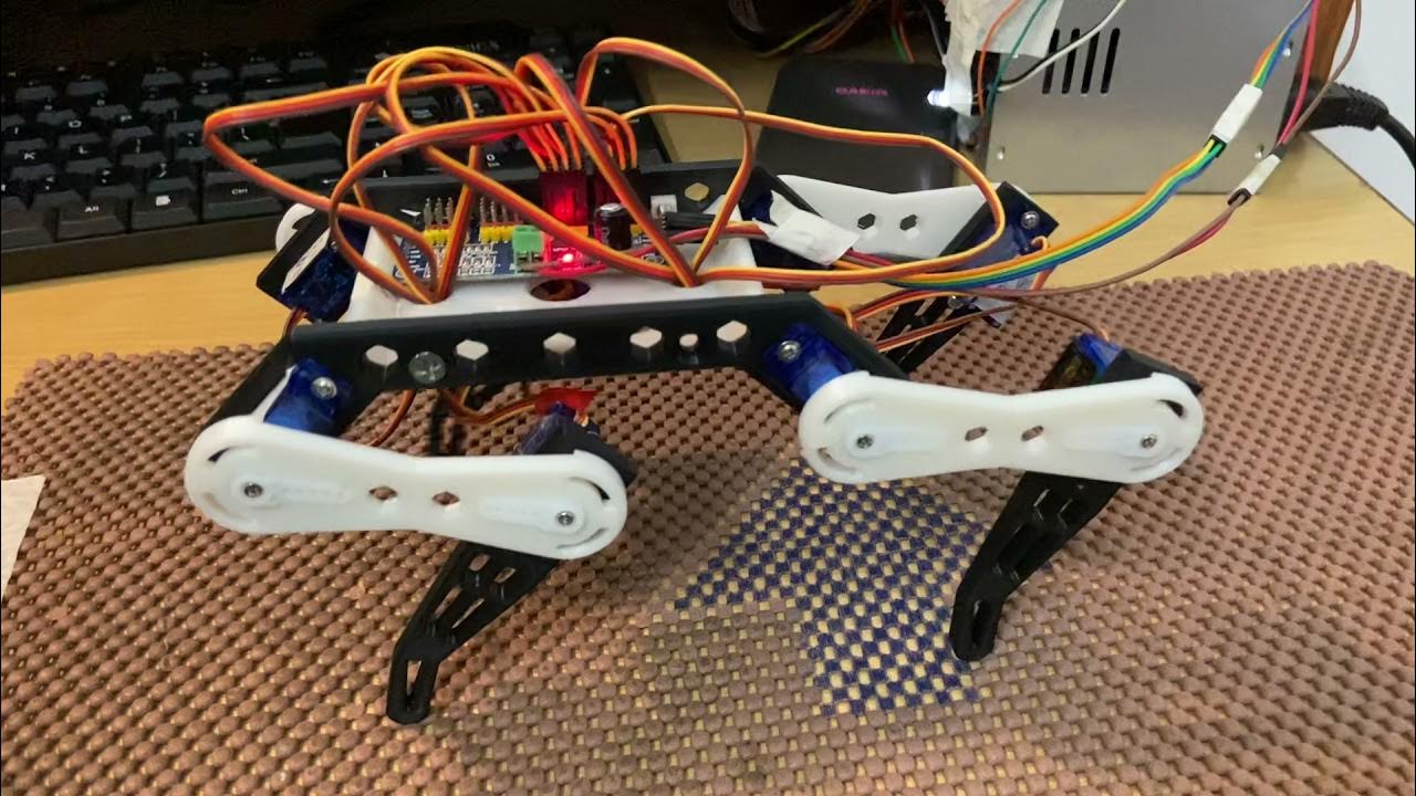 Quadruped Robot Walking 2 - YouTube