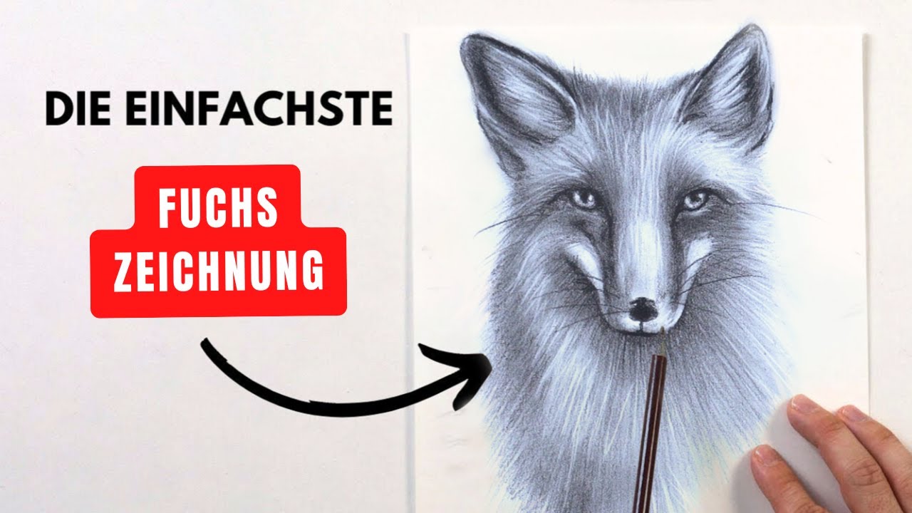 Einfach Fuchs zeichnen – perfekt für Anfänger! - YouTube