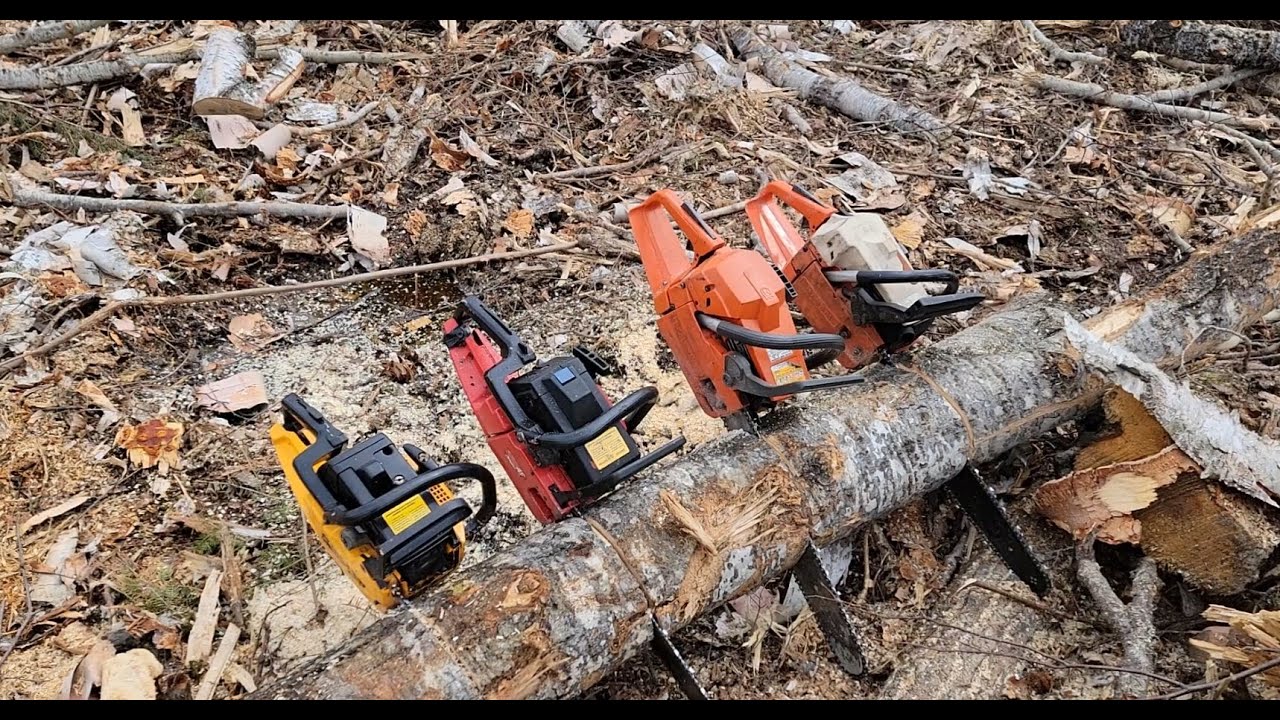 Lets race some saws! Husky 55, 50, Jonsered 590, Poulan Pro 325! - YouTube