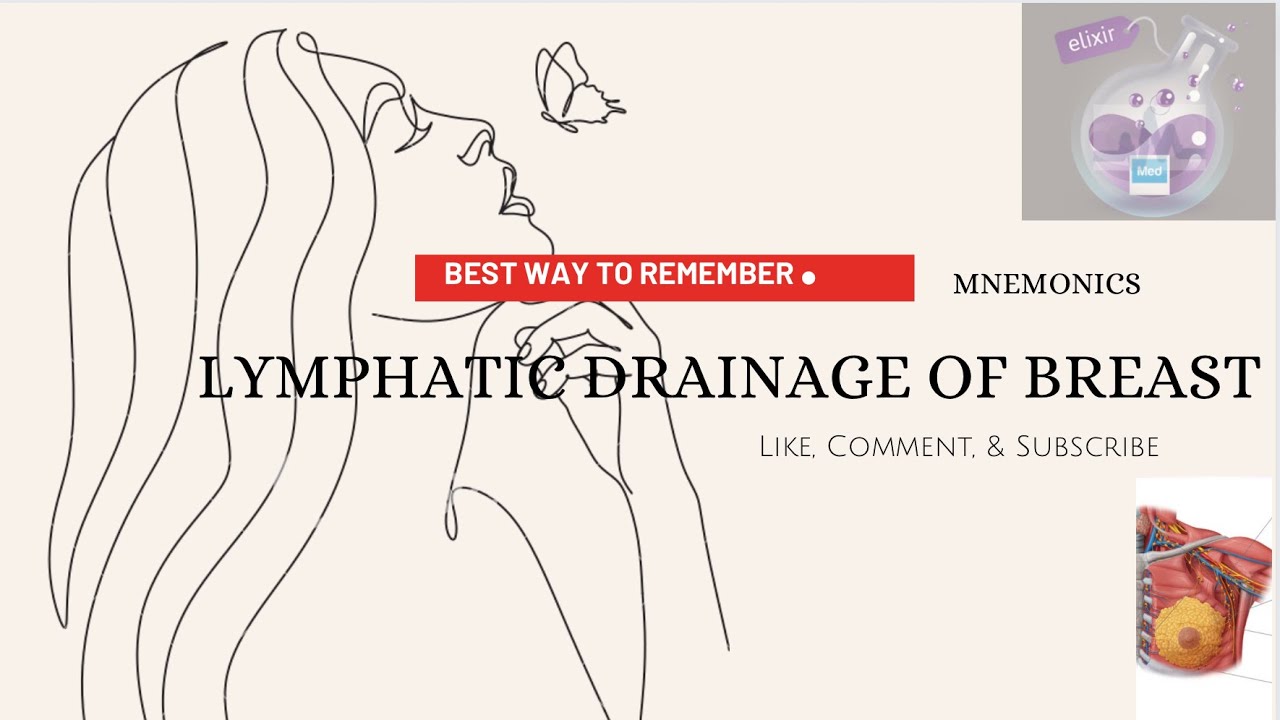 Lymphatic Drainage of Breast MNEMONICS BEST WAY TO REMEMBER #anatomy # ...