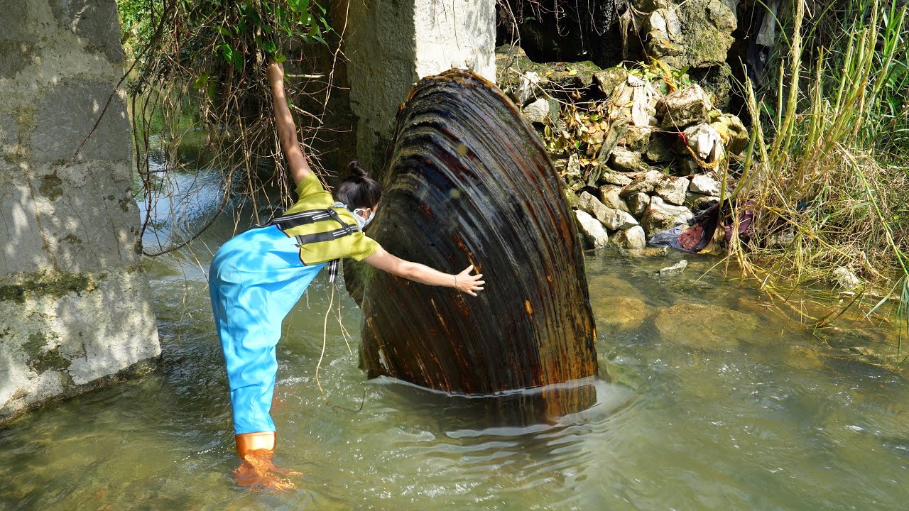 💎 Large clam shell 💎 After opening, the girl harvests rare colored ...