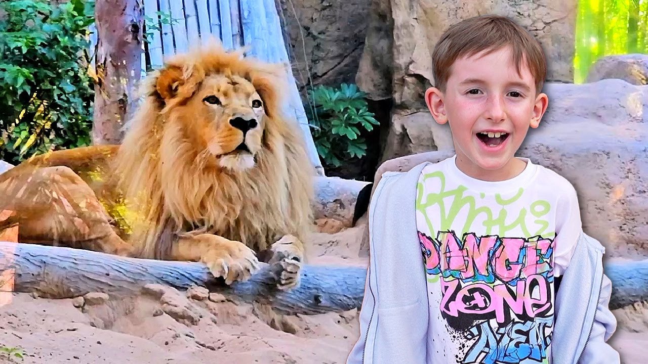 MARCEL W ZOO SPOTKANIE Z LWEM - YouTube