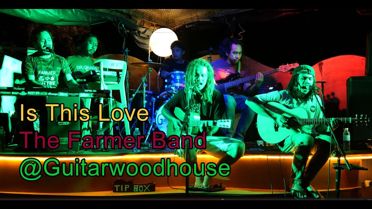 Farmer Band - Is this love (cover) Live@guitarwoodhouse - YouTube