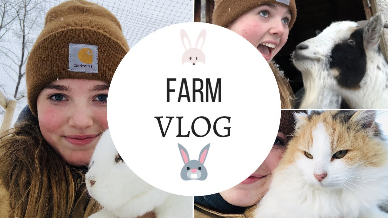 30+ Farm Animal Routine|What my Animals Eat In A Day - YouTube