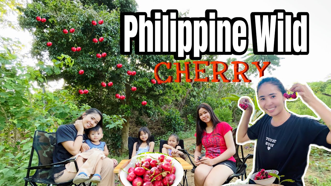 HAGIS FRUIT |annventurousvlog - YouTube
