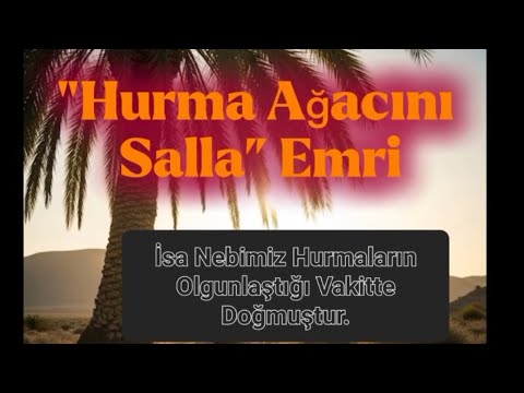 Hurma Ağacını Salla Emri🌴 #kuran #Meryem #isa #25 Aralık #kuranıkerim #kelimeitevhid #sevgi #amin 