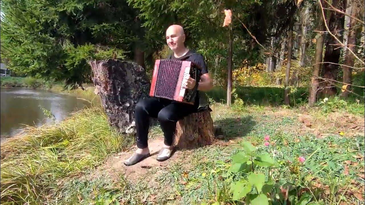 Гармонь в деревне #гармонь #чайка - YouTube