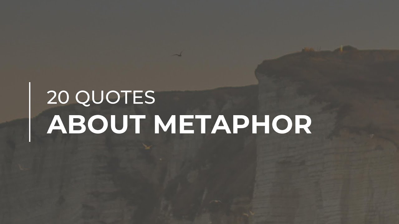20 Quotes about Metaphor | Daily Quotes | Amazing Quotes | Quotes for ...
