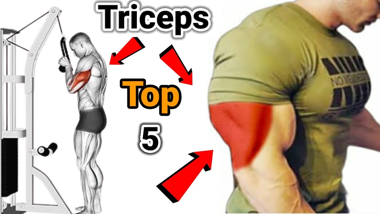 Triceps Workout At Gym For Beginners L Triceps Workout L Triceps