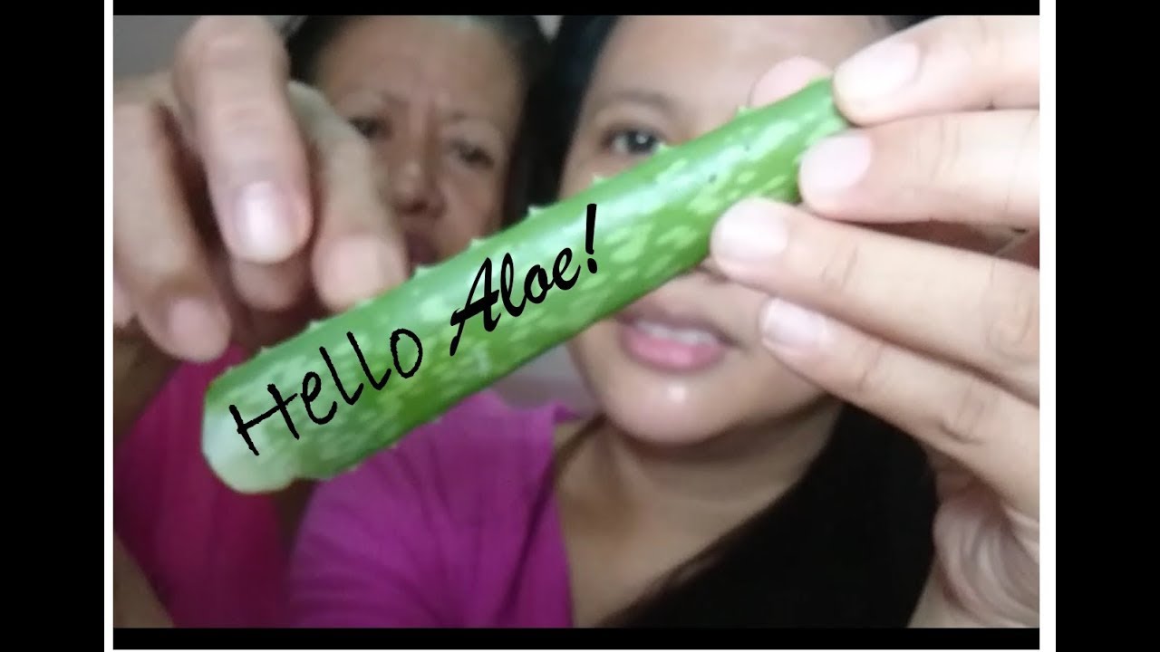 Hello #ALOE Vera v43 - YouTube