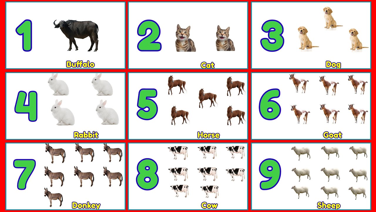 Counting Domestic Animals | 1 to 10 Counting | 1 से 10 तक गिनती ...