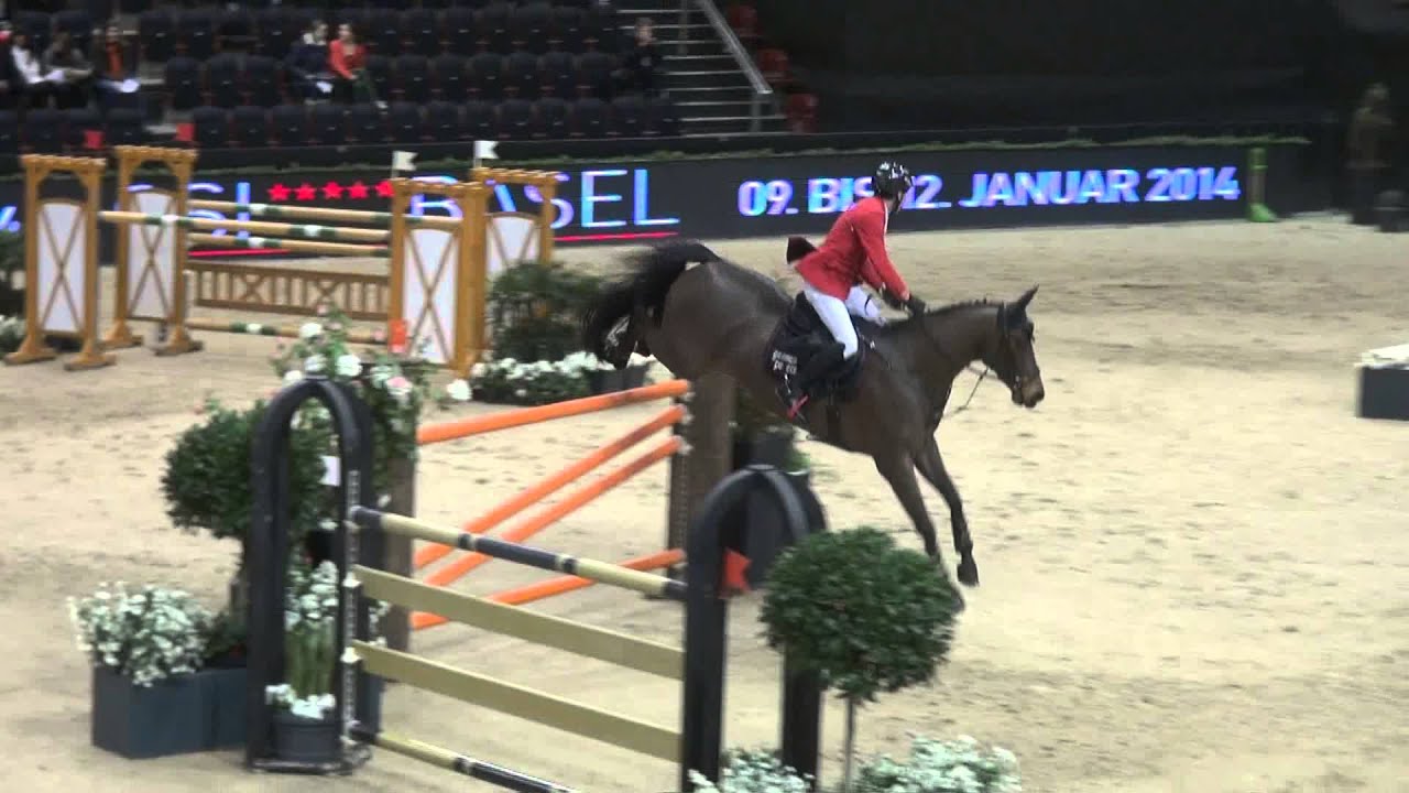 Constantin B (webstallions.com) - YouTube