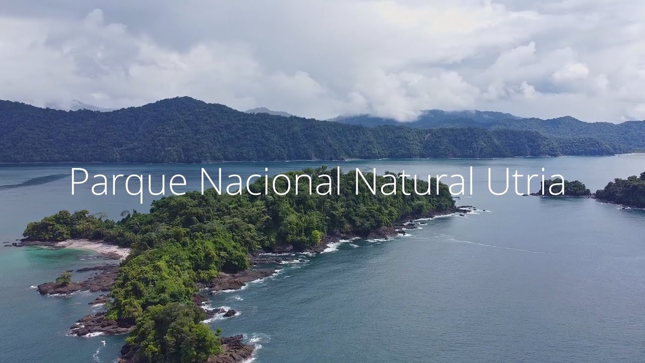 La realidad de Playa Blanca - Parque Nacional Natural Utría, Chocó ...