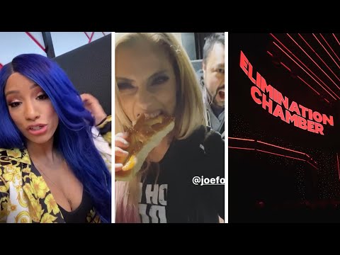 WWE Sasha Banks Alexa Bliss Nikki Bella charly Caruso Lana Elimination Chamber 2020 Highlights