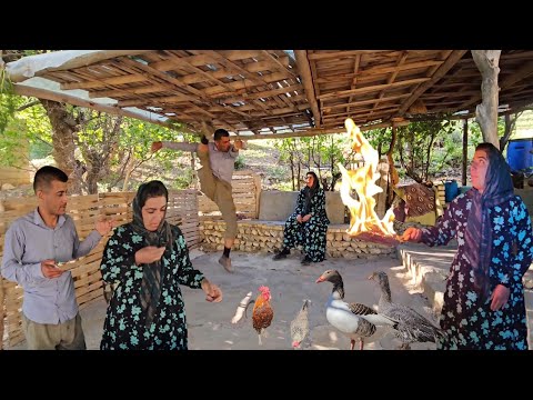 Amidst the stress of IUI, we still laugh in love… | The nomadic life of Asghar and Halimeh