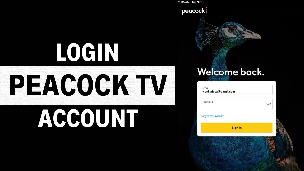 How to Login to Peacock TV Account 2024? Peacock TV Sign In - YouTube