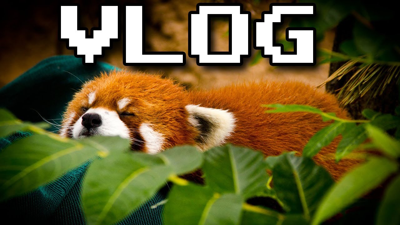 Red Panda Vlog - NEW GAMES -10/28 - YouTube