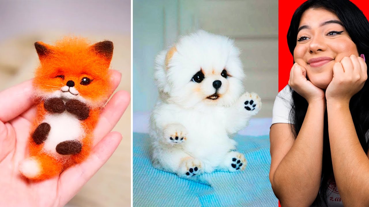Los Animales Más Tiernos Del Mundo #4 😍 - YouTube