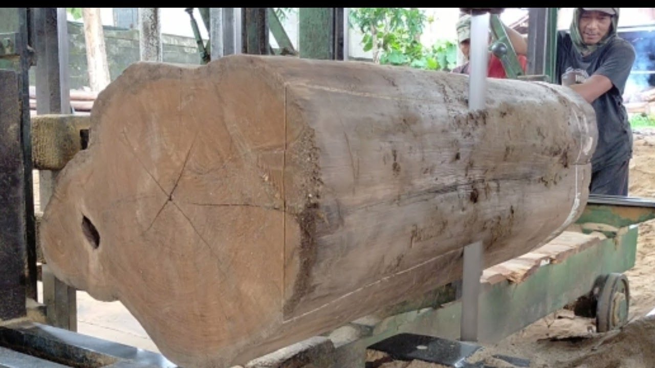 Penggergajian Kayu Jati Super Serat mahkota,Kayu jati Randublatung ...