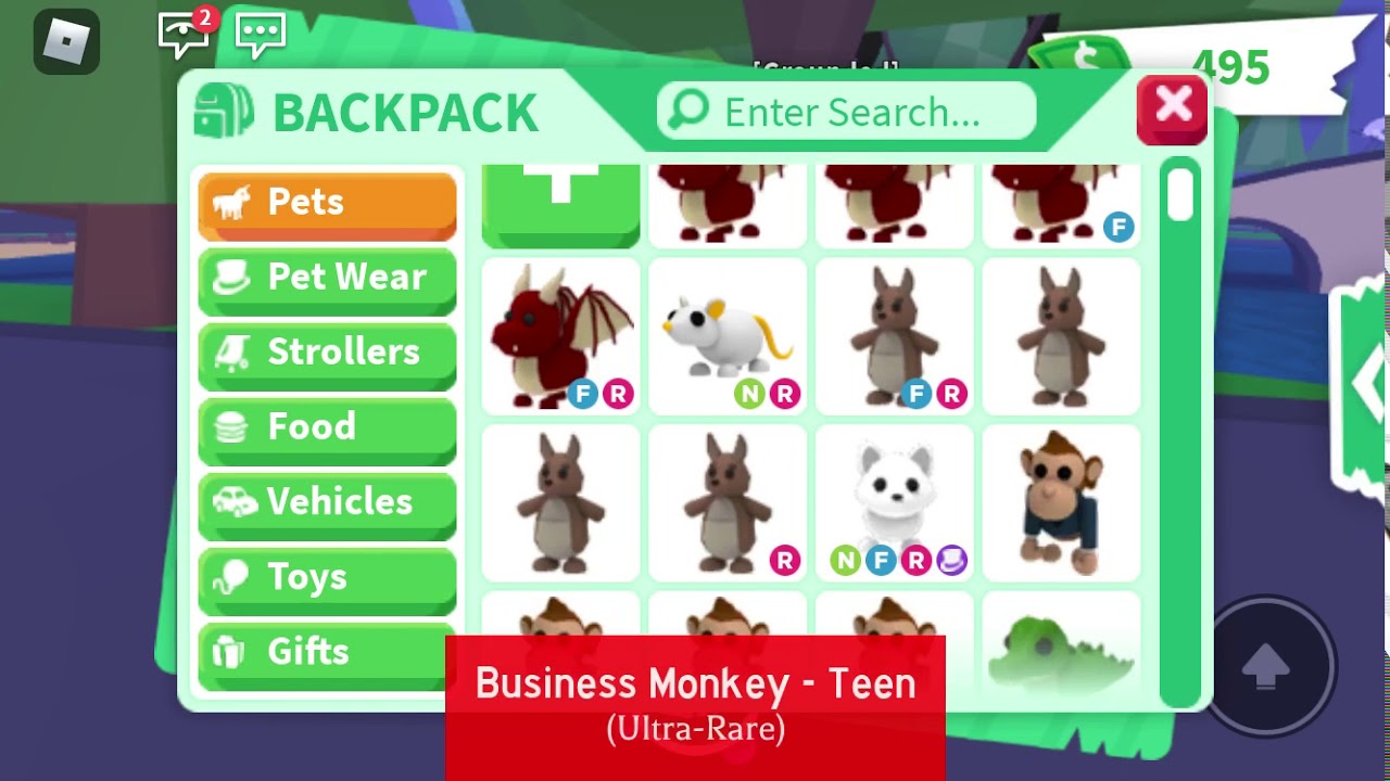 Inventory Update {roblox Adopt Me} - YouTube