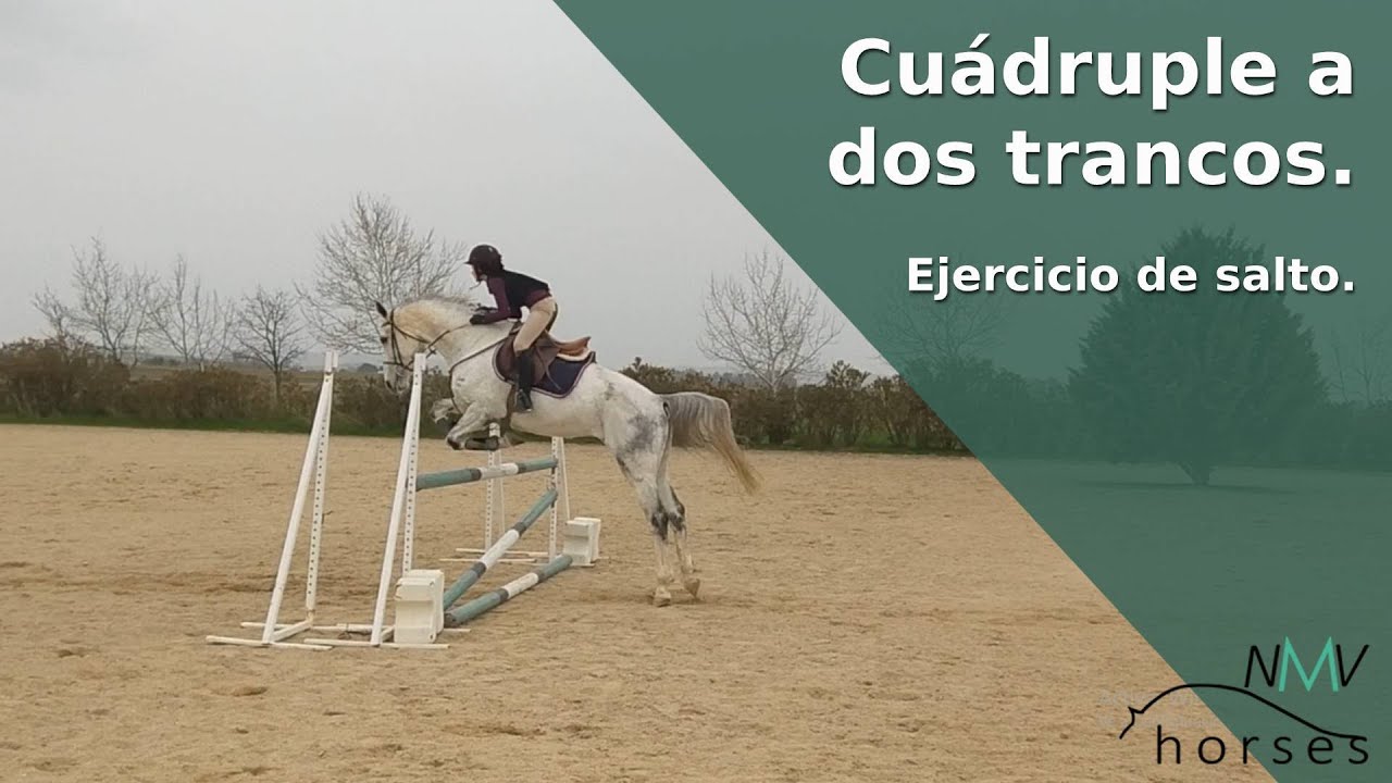 🐴Ejercicio de salto para caballos🐴Cuádruple a DOS TRANCOS🐴 Aprende a ...