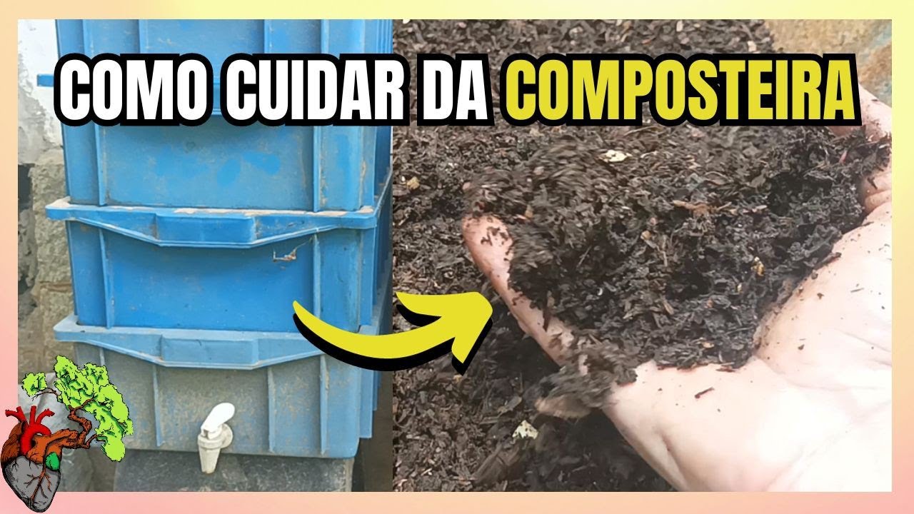 COMPOSTEIRA: tudo o que você precisa saber! - YouTube