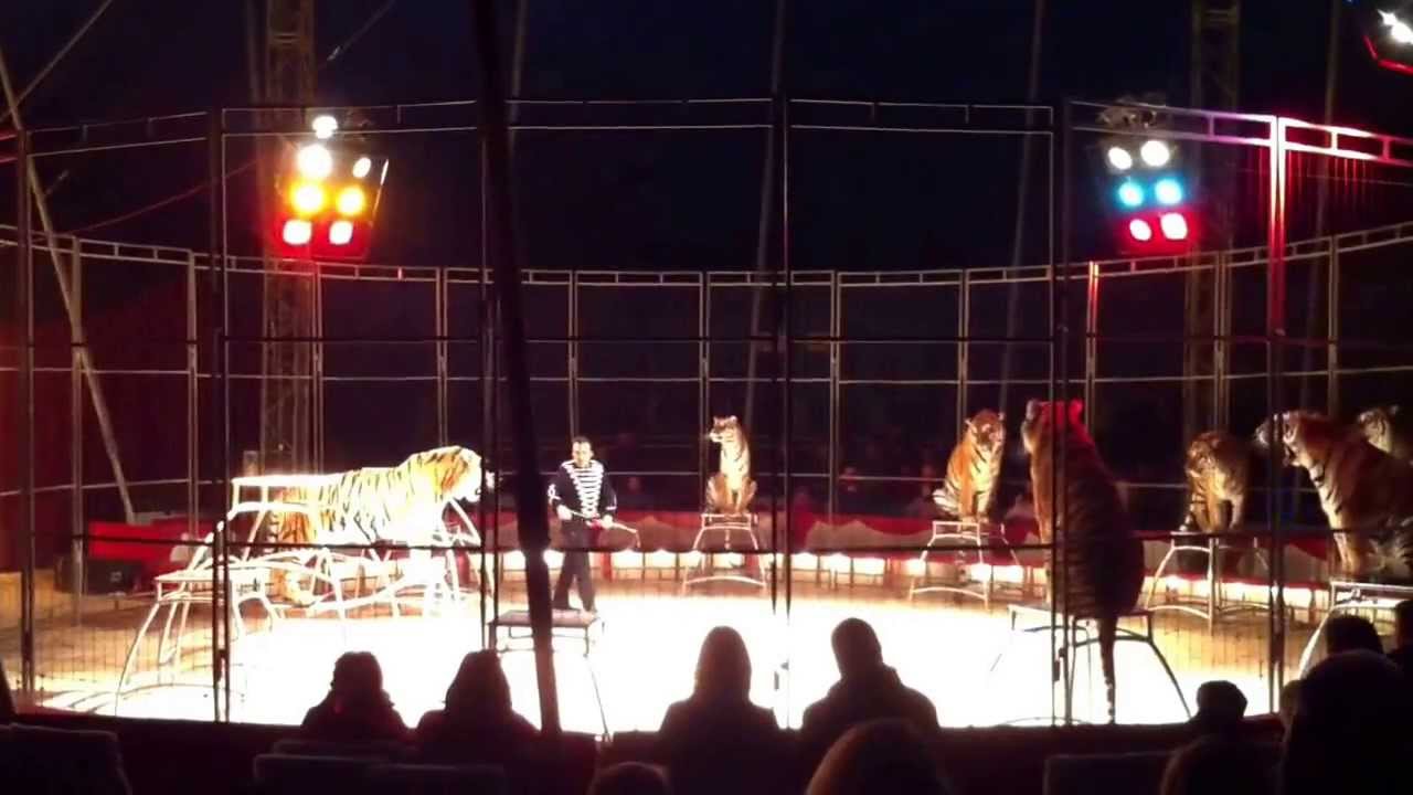 Circus Althoff: Tigervorstellung. - YouTube