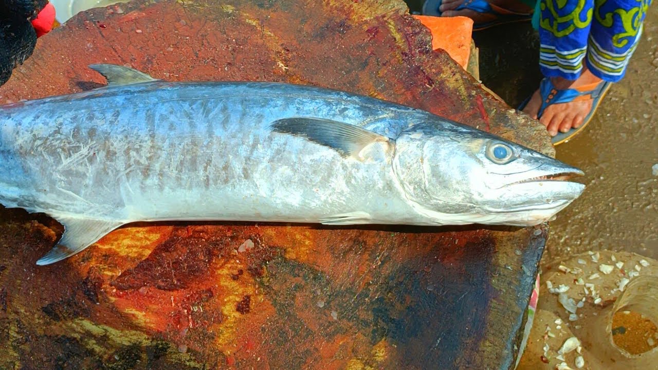 Amazing Seer(VANJARAM MEEN) Cutting Skill Fresh Fish in India Fish ...