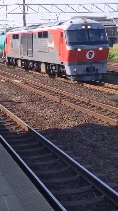 8075レ DF200 207 ウルフドッグスラッピング #鉄道 #貨物列車 - YouTube