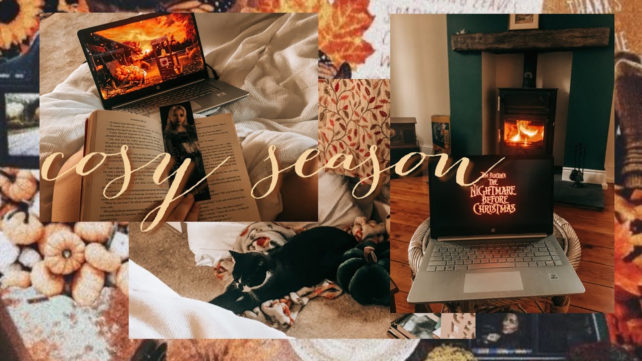 the cosy season begins🍂 - YouTube