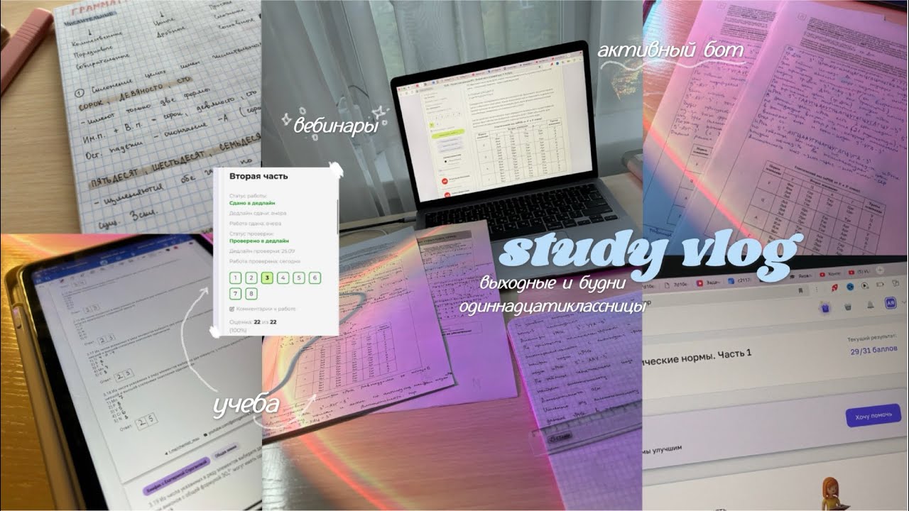 study diary: будни 11-классницы / подготовка к егэ 2025 - YouTube