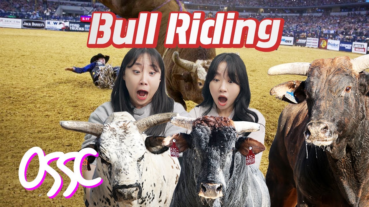 Korean Girls React To American Bull Riding For The First Time | 𝙊𝙎𝙎𝘾 ...
