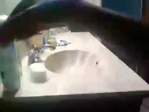 Walt Disney Pictures Pixar Animation Studios Finding Nemo 2003 - YouTube