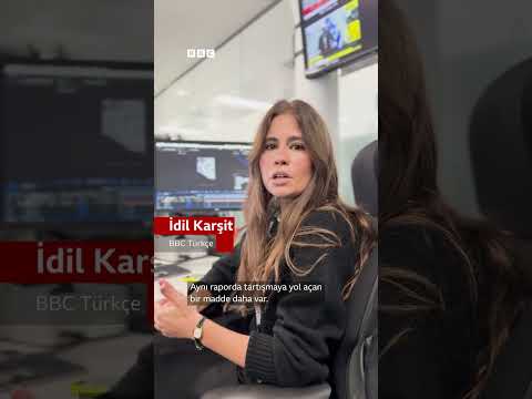 Rojin Kabaiş dosyası: iki şüpheli DNA