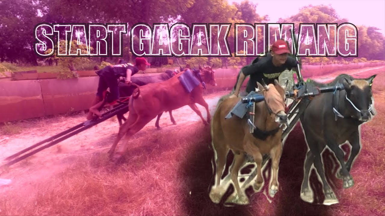 START GAGAK RIMANG ! - YouTube