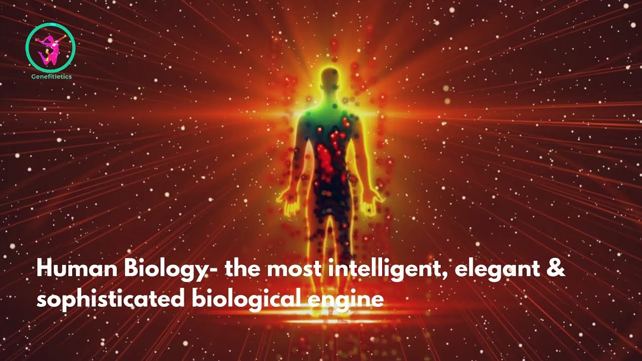 Human Biology- the most intelligent, elegant & sophisticated biological ...