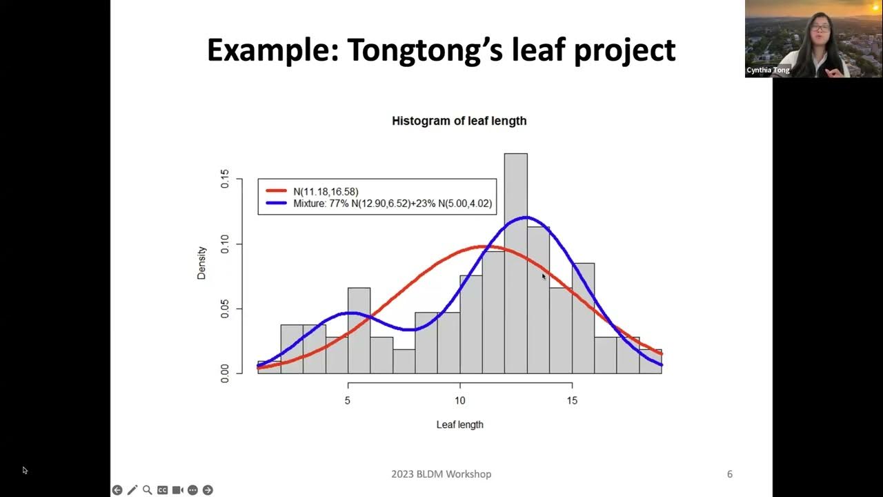 Bayesian Longitudinal Data Modeling by Prof. Cynthia Tong from University of Virginia - Part 2 ...