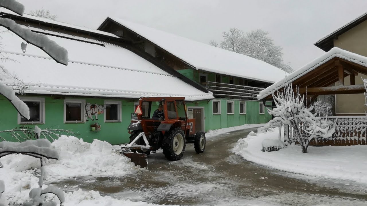 Snow on the Farm - YouTube