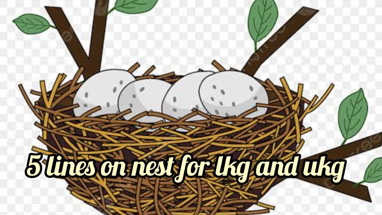 5 lines on nest in english ukg and lkg students in English. - YouTube