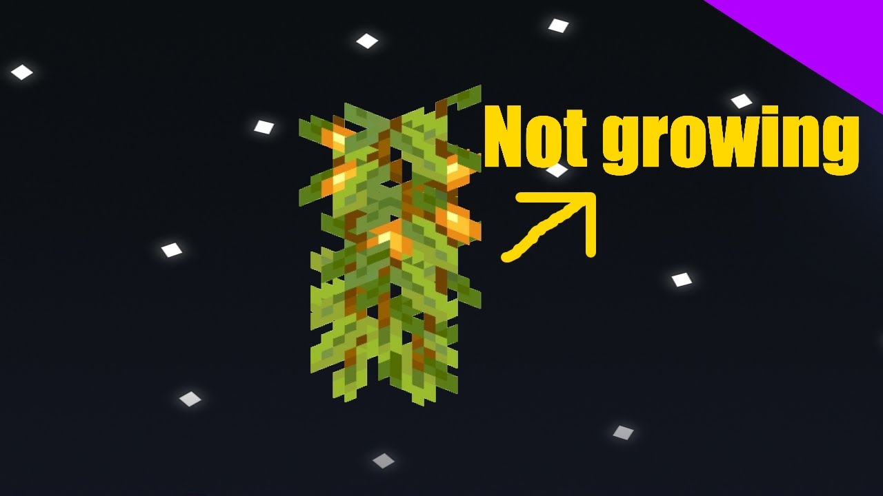 How To Stop GlowBerries, Twisted Vines and Weeping Vines from Growing ...