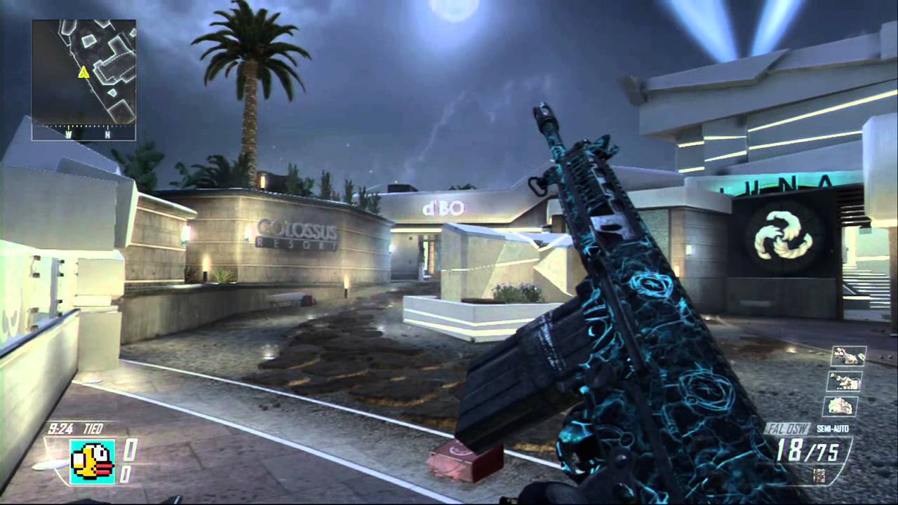 Afterlife Camo-Black Ops 2 New Camos On all Weapons - YouTube
