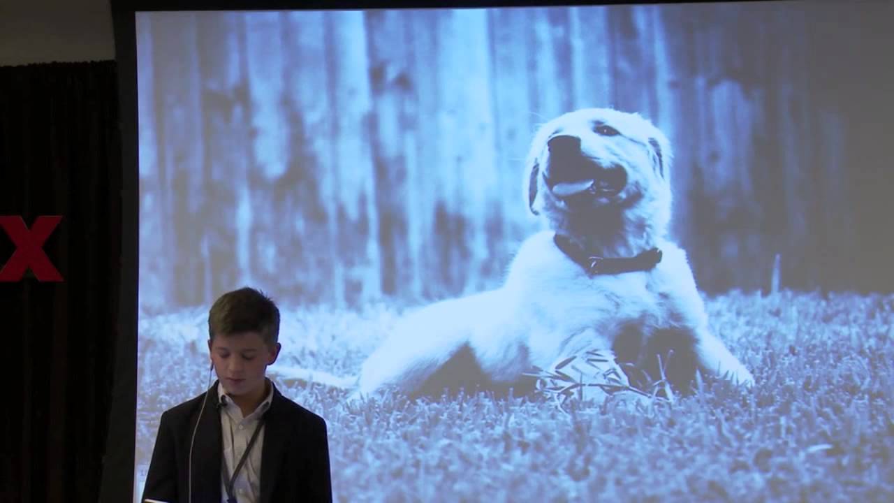 A Picture Is Worth a Thousand Words - Marshall Neve - YouTube