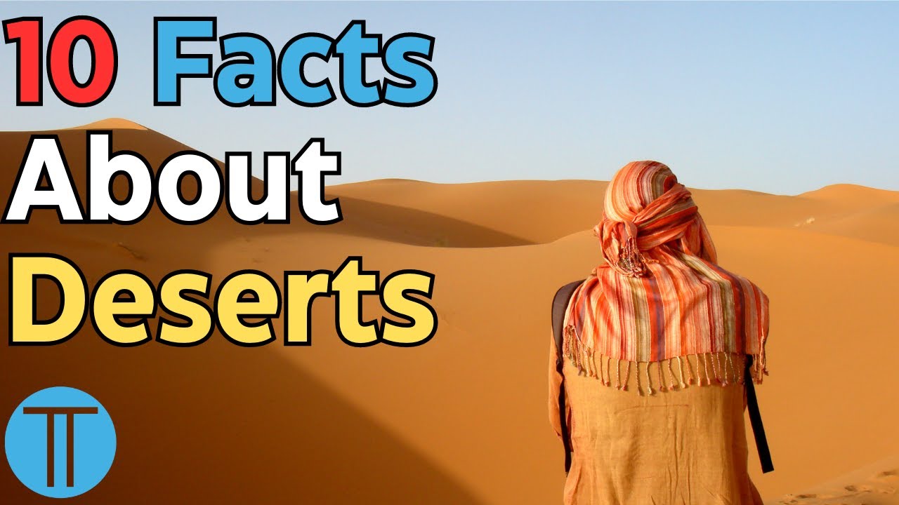 10 Captivating Facts About Deserts | Facts No Less - YouTube