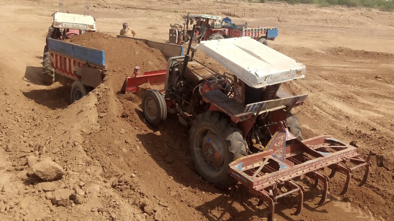 messey tractor 240 is filling the trolley/Mf work in field/special clay ...