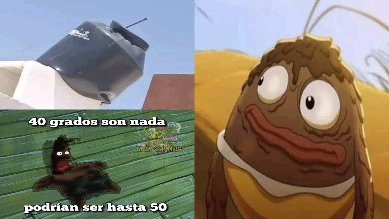 🥵 QUE PERRO CALOR 😂 Los mejores MEMES de la ONDA de CALOR - YouTube