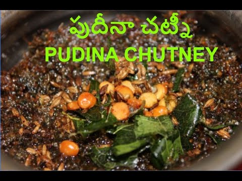 Spicy Pudina chutney | Dry mint pickle | pudina pachadi | - YouTube