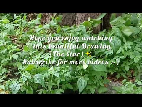 The $tar - (Drawing using Sketch pens ~ Quick Style) - YouTube