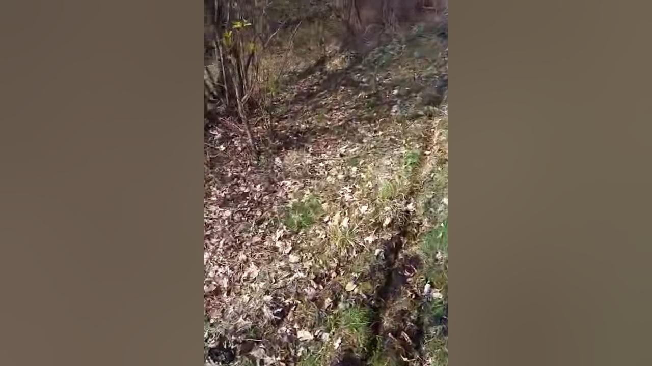 Грязь,болото - YouTube