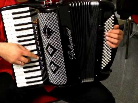 Akkordeon Polverini Diamante IV 96 Piccolo, A mano Stimmen ...