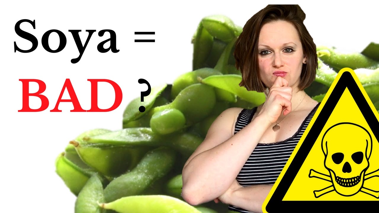 Is Soya Bad? - How to Read Soya Articles - YouTube